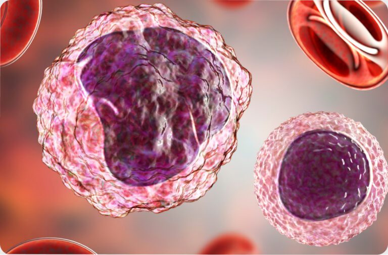 Que son los monocitos altos y como bajarlos - Blog farmaciabarata