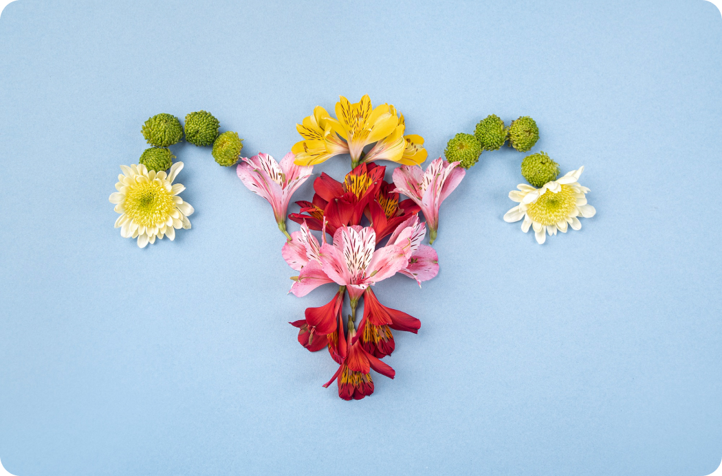 Tipos de flujo Vaginal ¿Está todo correcto? Descúbrelo - Blog ...